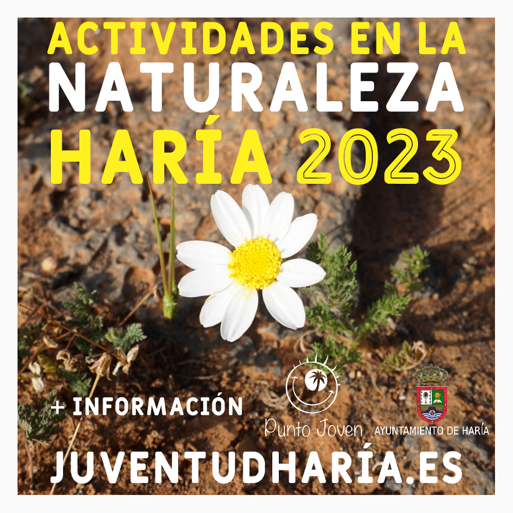 El Punto Joven organiza la ruta ‘Las Nieves 2023’ enmarcada en el ...