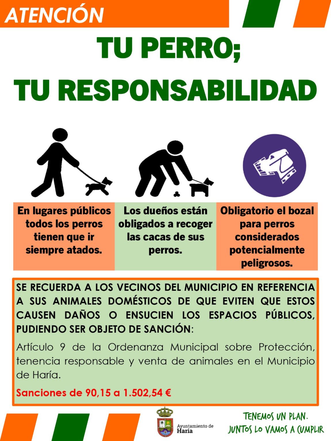 Tu perro, tu responsabilidad – Ayuntamiento de Haría